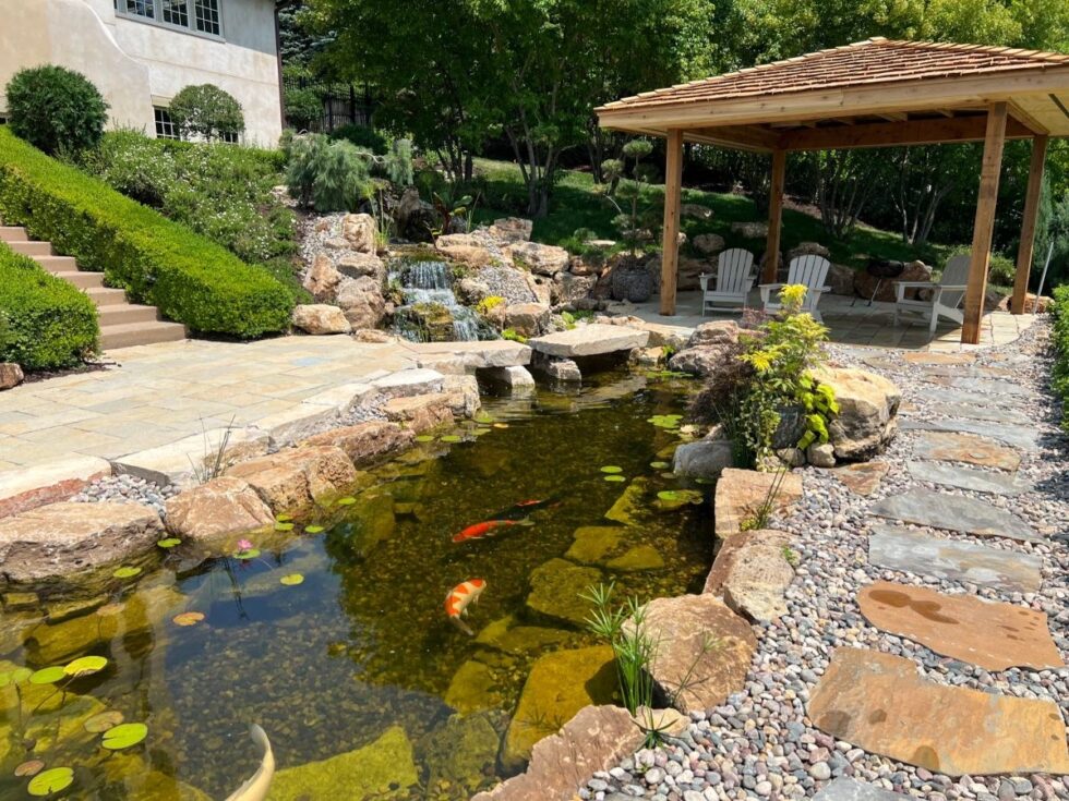 Ideal Depth for Backyard Ecosystem Pond Installation & Safe Fish ...